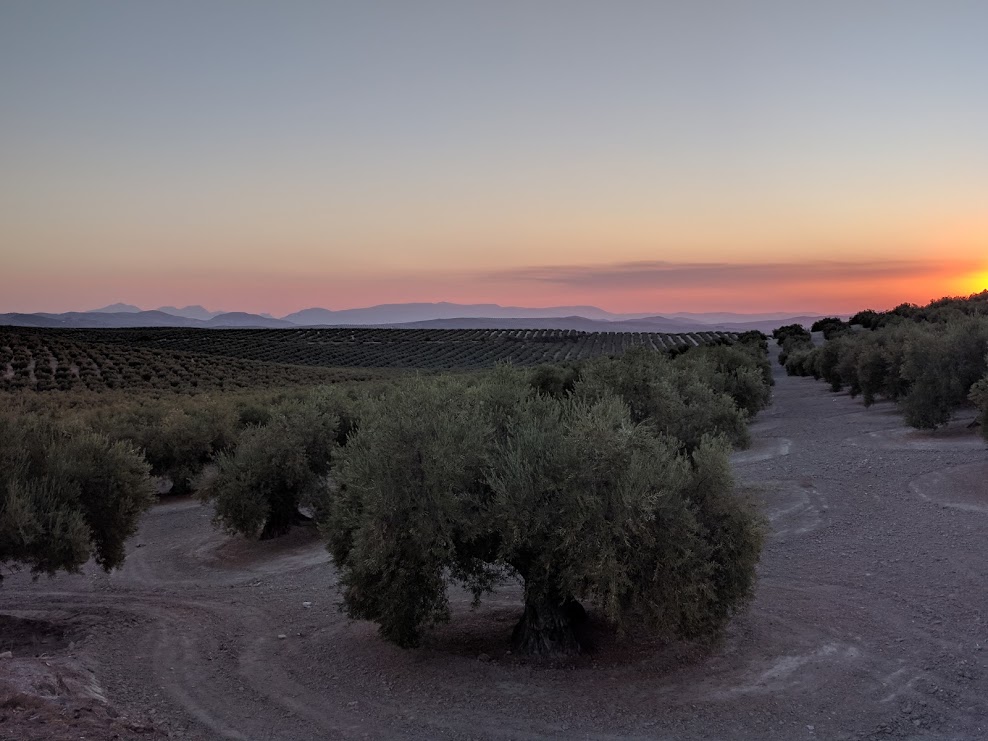 The Unofficial Guide to Martos – Stuffed